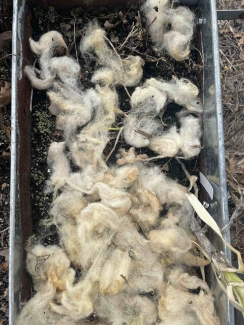 Blue Thistle Fibers - Naturally Dyed Fibers